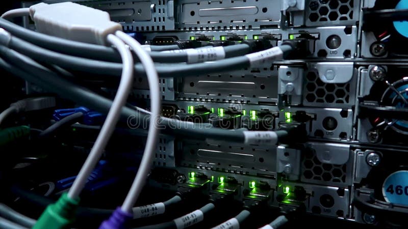 Connected Ethernet Cables Stock Footage & Videos - 197 Stock Videos