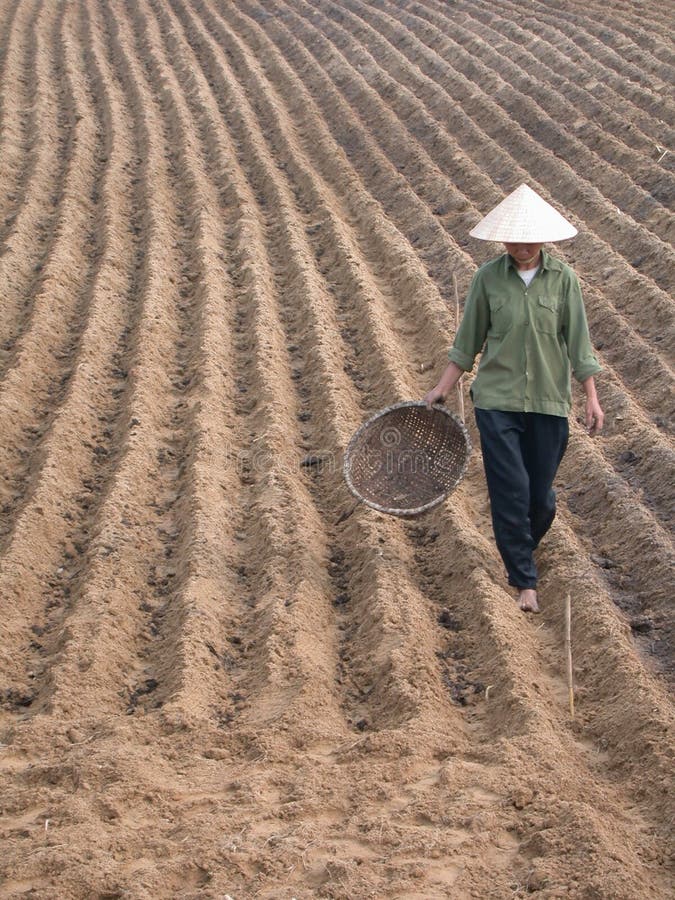 Working in the field 1 editorial photo. Image of plough - 33941