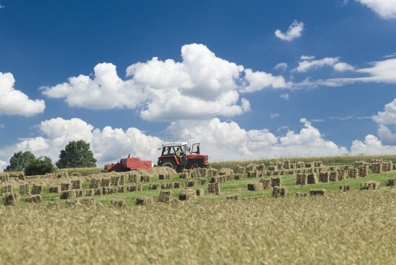 Working in the field stock image. Image of farm, agriculture - 10003701