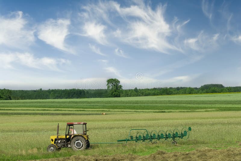 Working in the field stock photo. Image of working, agriculture - 10005720