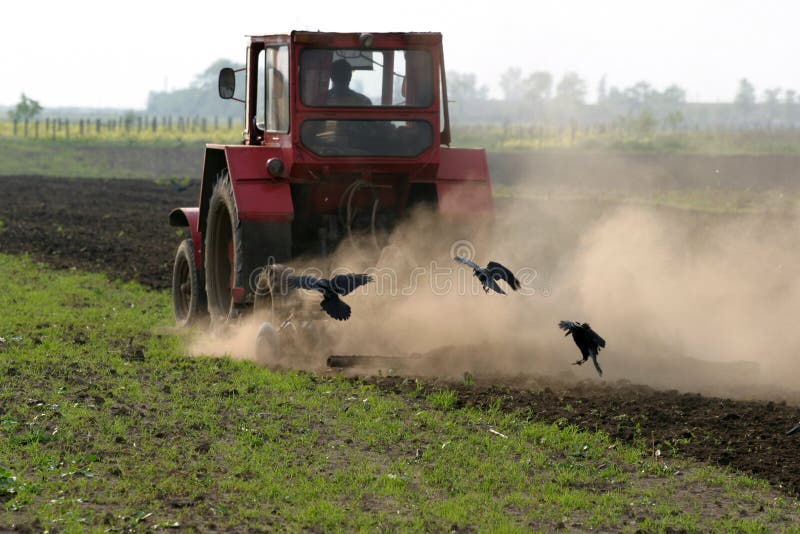 Working the field stock photo. Image of field, tractor - 1073126