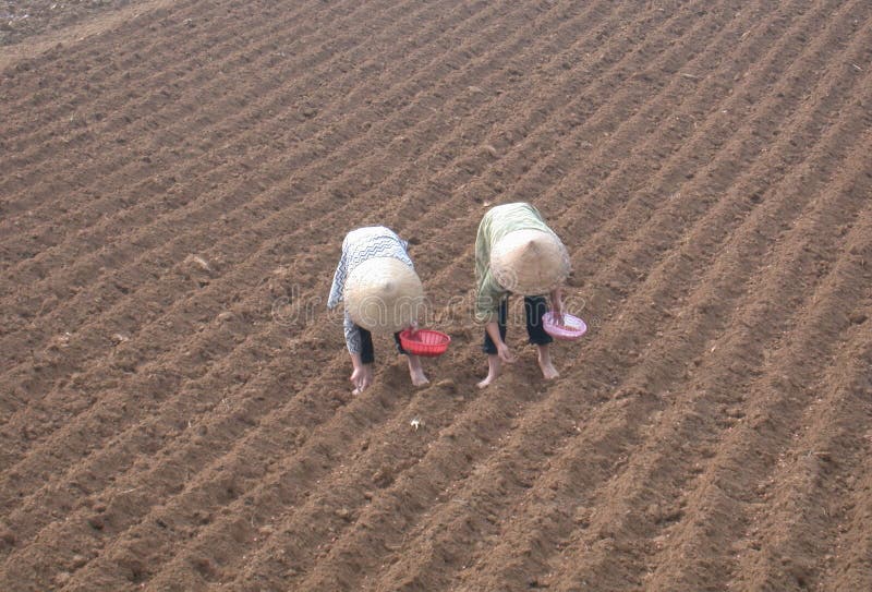 Working in the field 2 stock photo. Image of plough, track - 59978