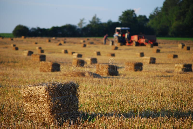 Working the fields stock photo. Image of crop, oats, straw - 6296394