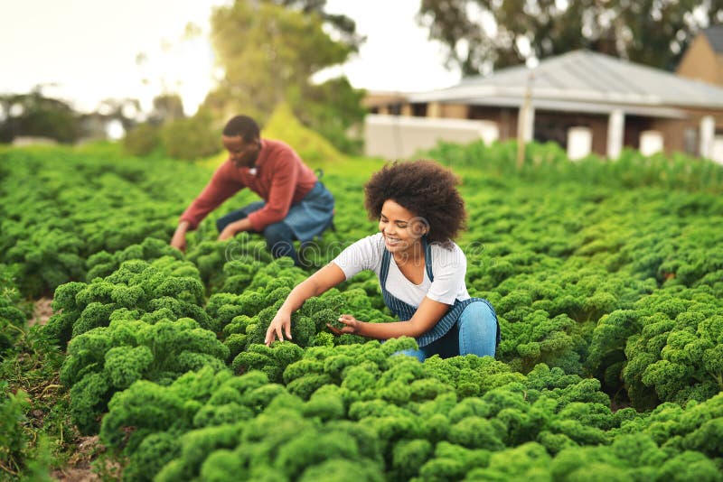 Working the Fields Together. a Young Farm Couple Working the Fields ...
