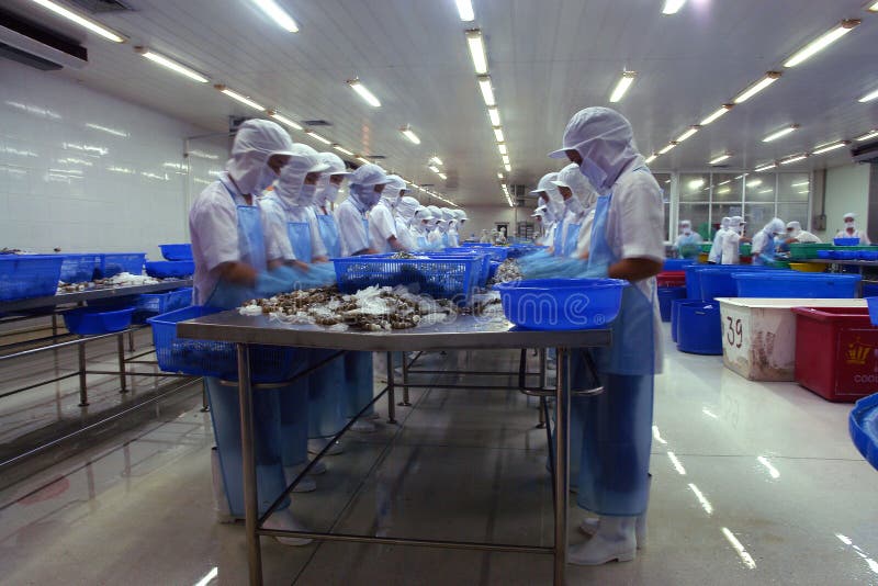 Working at a Fishery Factory Stock Photo - Image of factory, work: 77888718
