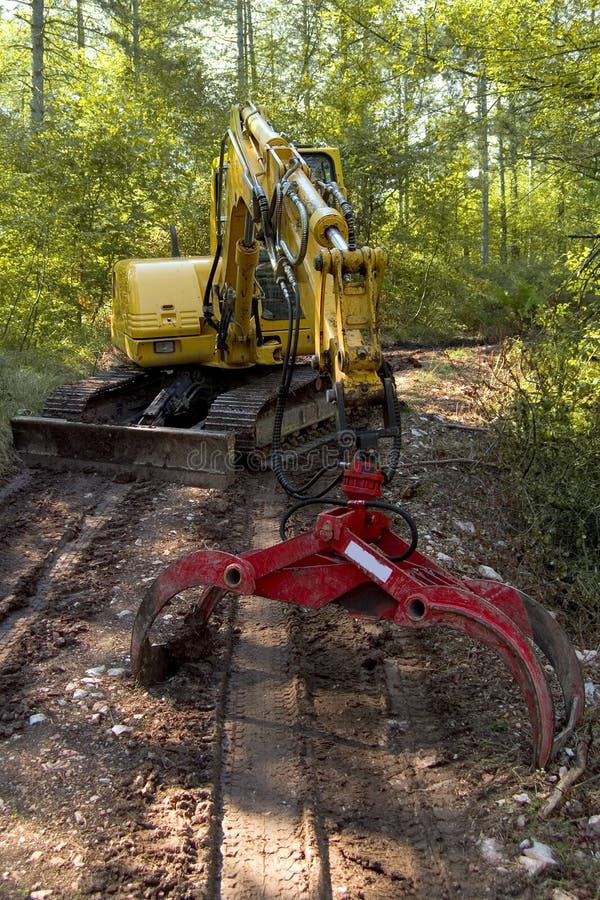Working in the forest stock image. Image of working, wood - 7470111