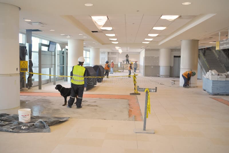 Working Group in the Middle of a Construction with a Dog. Editorial ...