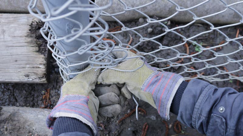 Working Hands in Gloves Pull the Metal Mesh of the Fence Stock Photo ...