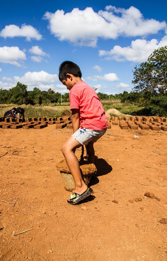 Working hard boy stock photo. Image of child, barred - 64904548