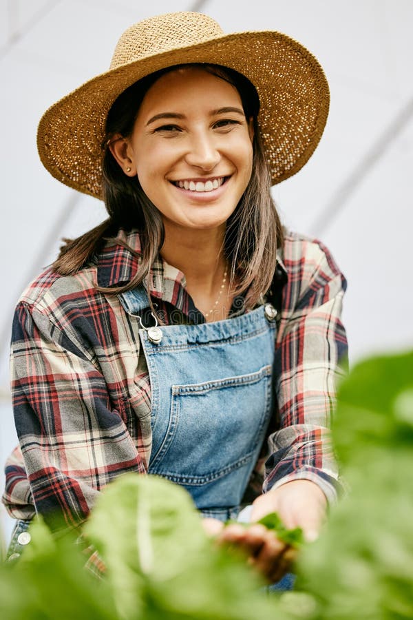 Working on Her Harvest. a Young Female Farmer Checking Her Produce ...