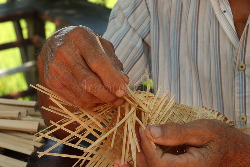 Greenshell mussels stock photo. Image of zealand, fishing - 13587134