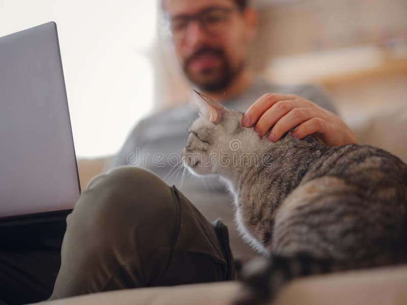 Working at Home with Pet. Man Works from Home Typing on Laptop. Stock ...
