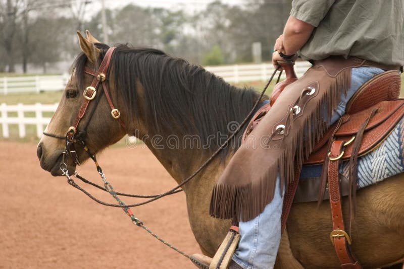 Working Horse stock image. Image of arena, iron, western - 605807