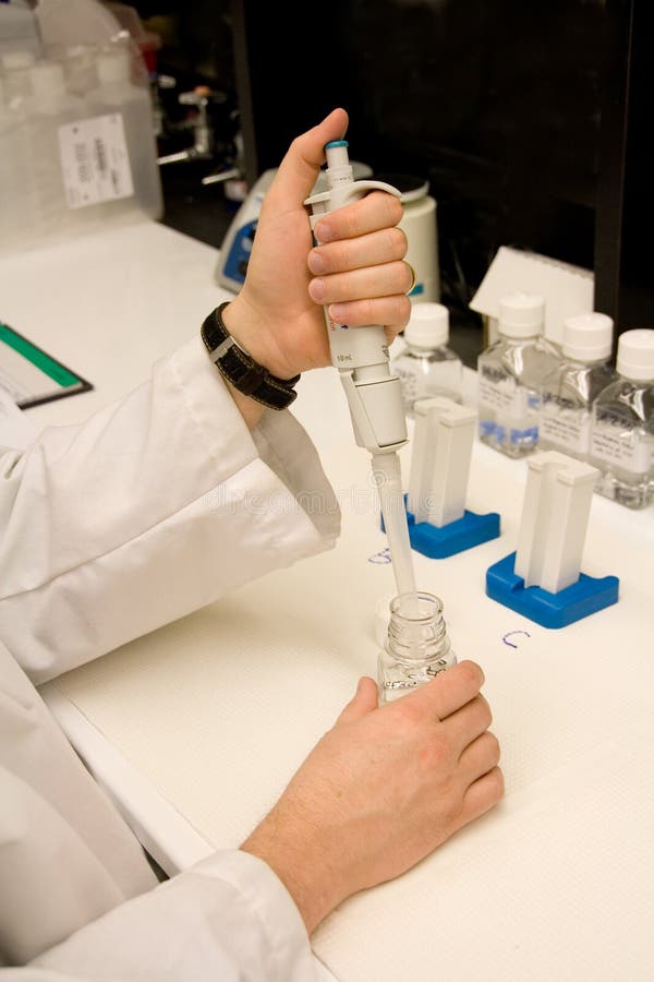 Working at a Lab Bench stock photo. Image of compare - 17795606