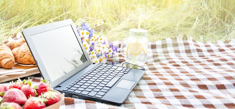 Laptop Picnic stock photo. Image of wireless, nature, picnic - 306688