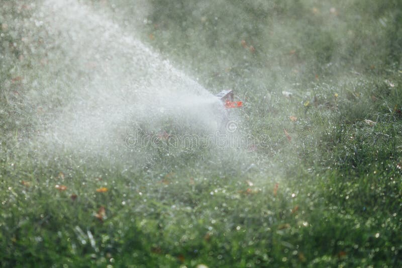 Working Lawn Sprinkler Spraying Water Over Green Grass Stock Photo ...