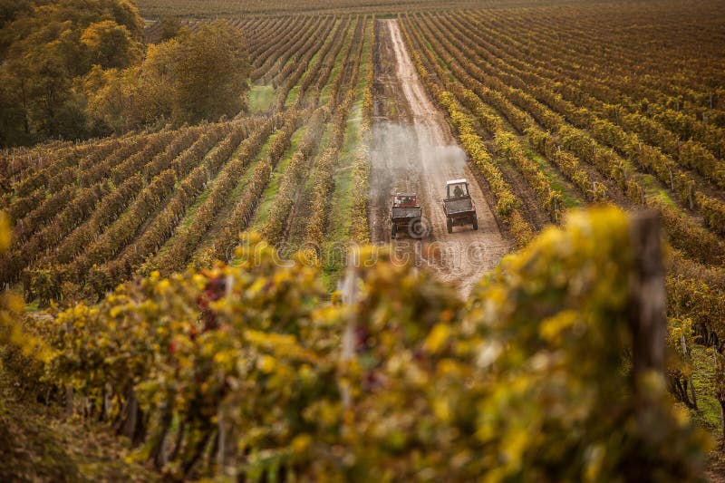 Working Machines on the Field Grape Stock Image - Image of sprayer ...