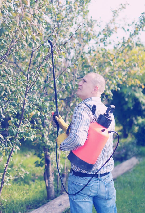 Working Man with Garden Spray Stock Image - Image of person, control ...