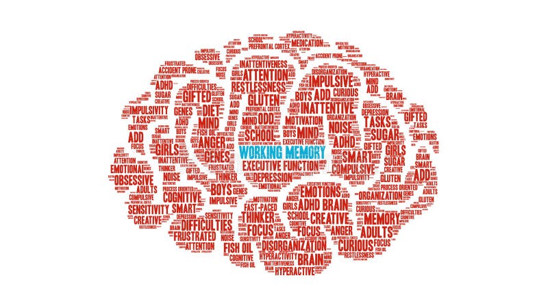 Working Memory Animated Word Cloud Stock Footage - Video of mind ...
