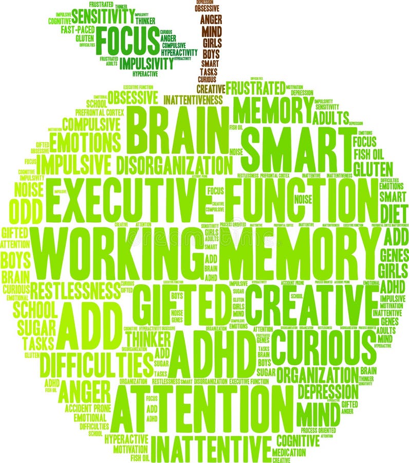 Working Memory and Conscious Awareness, Outline Diagram Vector ...