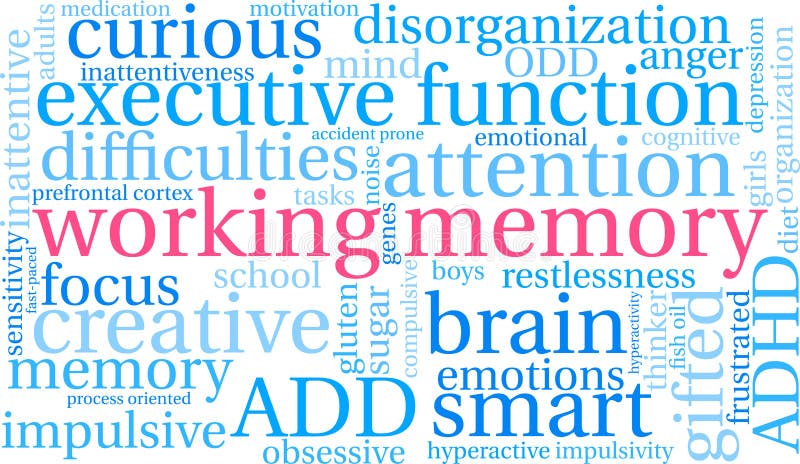 Working Memory and Conscious Awareness, Outline Diagram Vector ... Working Memory and Conscious Awareness, Outline Diagram Vector ...