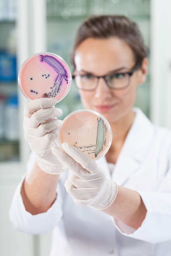 Working with microbacteria stock image. Image of chemist - 43141433