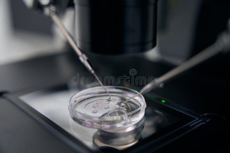 Working with a Micromanipulator in a Specialized Laboratory Stock Image ...