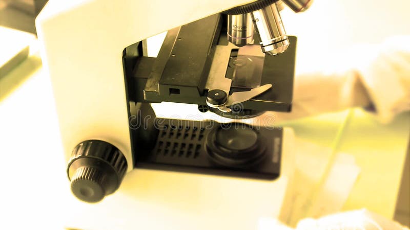 Working with a Microscope. Lab Microscope. Setting the Microscope Stock ...