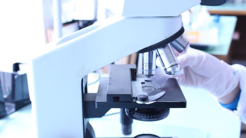 Working with a Microscope. Lab Microscope. Setting the Microscope Stock ...