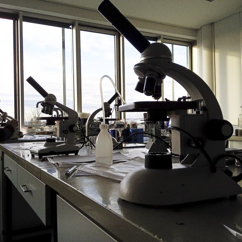 Working with Microscope in Lab Stock Image - Image of information ...