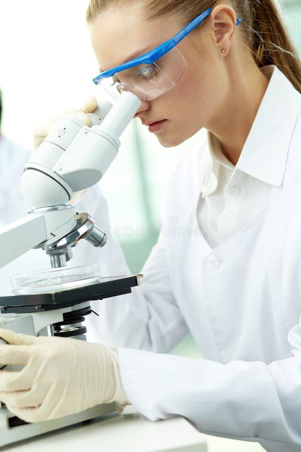 Under the Microscope stock image. Image of magnify, test - 323999