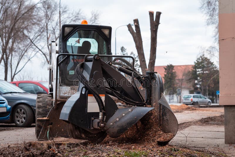 Working Mobile Machine for Cutting Wood Tree Stump Stock Image - Image ...