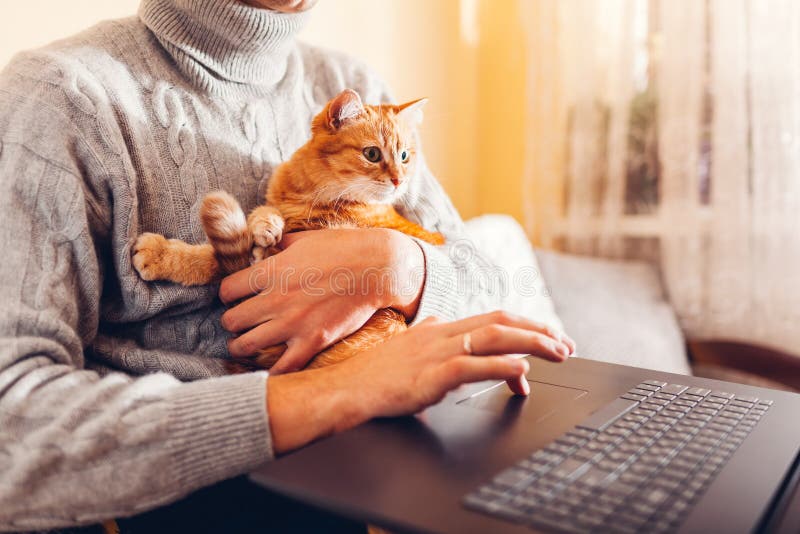 Working Online from Home with Pet Using Computer. Man Typing on Laptop ...