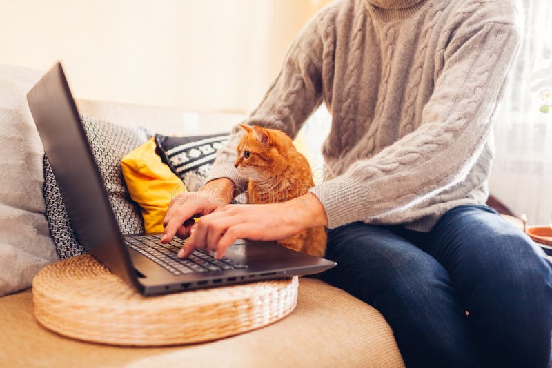 1,007 Cat Typing Computer Stock Photos - Free & Royalty-Free Stock ...