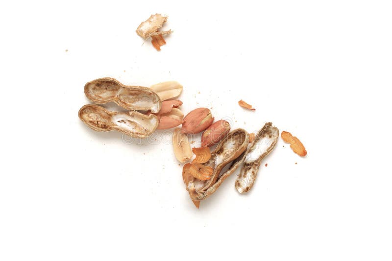 Working for Peanuts stock image. Image of broken, white - 305960817
