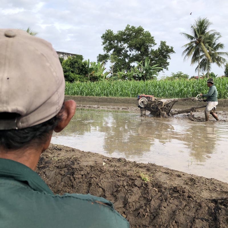 Working with Plowing Machine Editorial Image - Image of planting ...