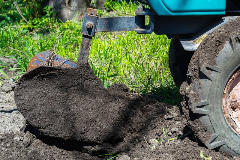 Working on a Potato Field with a Old Tractor Selective Focus Stock ...