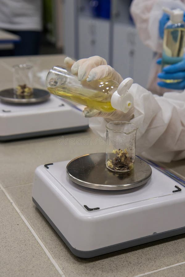 Working Process in Nanotechnology Laboratory of Cosmetic Production ...