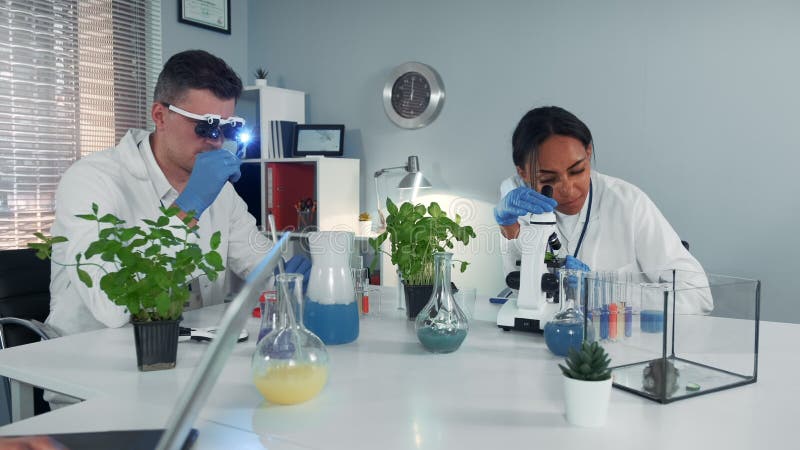 Working Process of Two Mixed Race Scientists in Modern Chemistry ...
