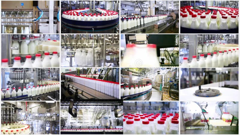 Working Process in Workshops at Milk Factory, Stock Footage - Video of ...