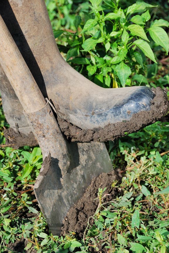 Working rubber boots stock photo. Image of rubber, farming - 33510472