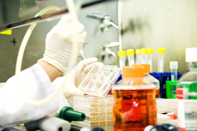 Working scientist stock image. Image of laboratory, analyst - 3714403