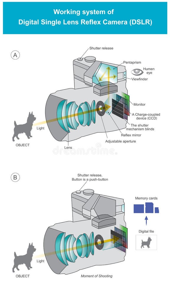 Working System of DSLR Camera. Stock Vector - Illustration of front ...
