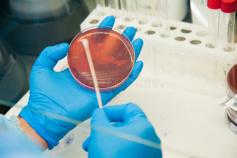 Microbiology Research in Laboratory Stock Photo - Image of test ...