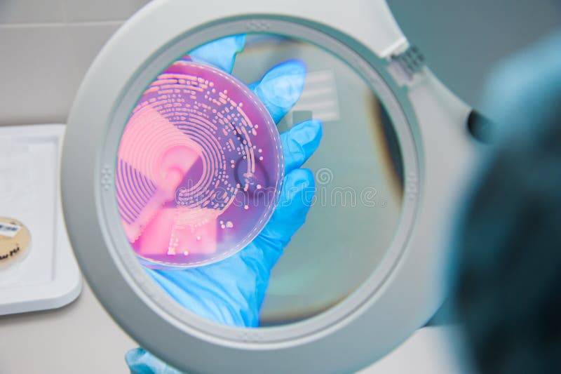 Microbiology Research in Laboratory Stock Photo - Image of scientist ...