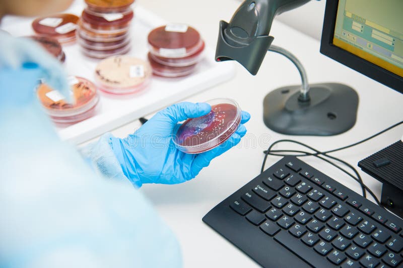 Microbiology Research in Laboratory Stock Photo - Image of test ...