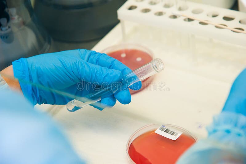 Microbiology Research in Laboratory Stock Photo - Image of health ...