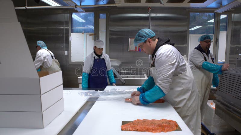 Fish processing stock video. Video of apron, fresh, product - 57388079