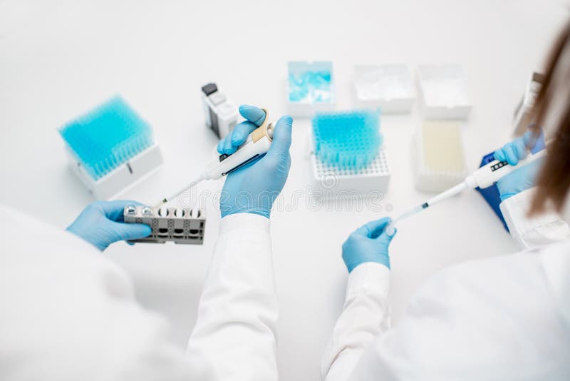 Working with Test Tubes at the Laboratory Stock Photo - Image of ...