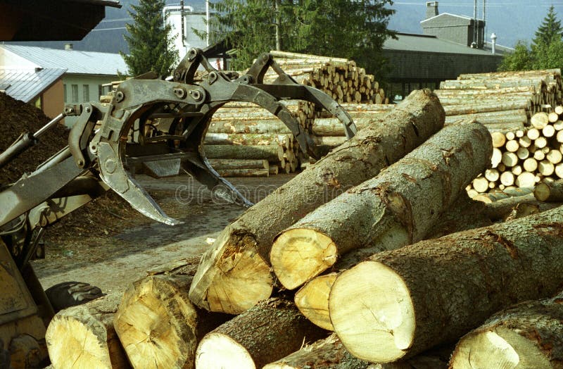 Working Tractor Grabbing Tree Lumber in Yard Stock Image - Image of ...